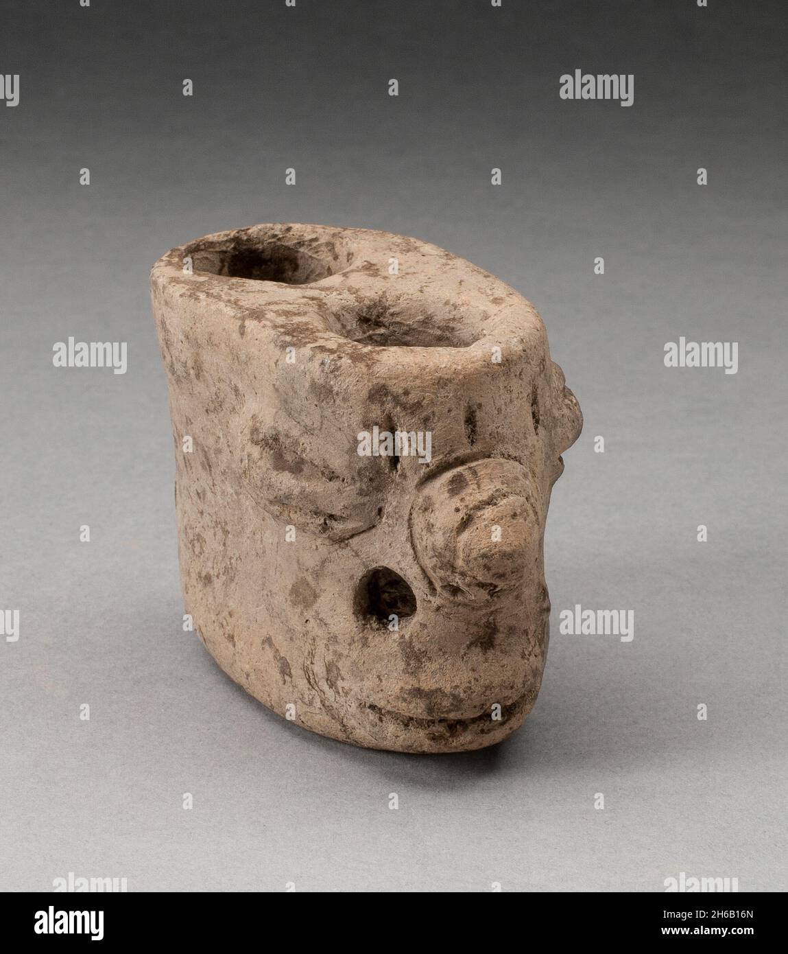 Double chambered vessel hi-res stock photography and images - Alamy