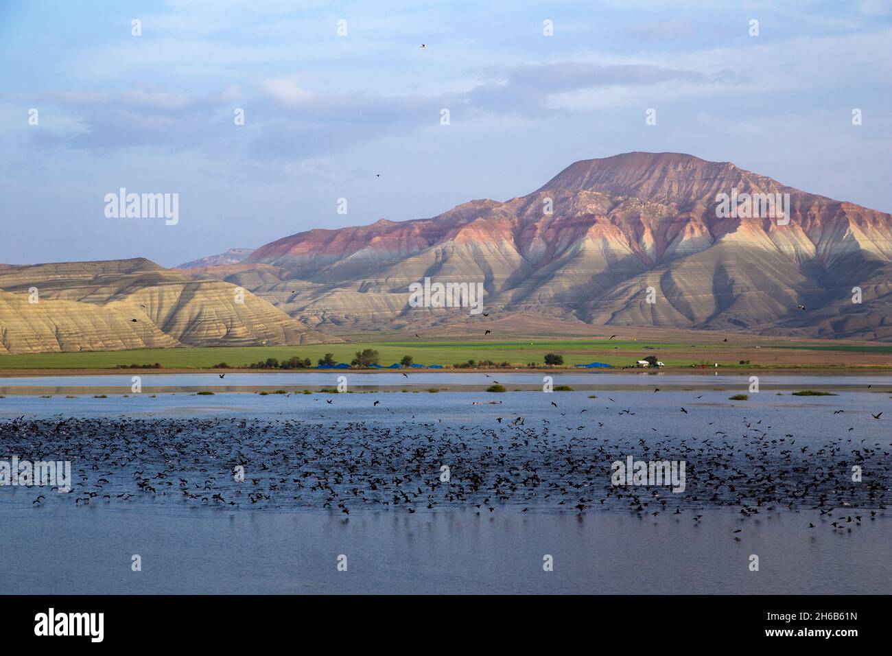 View of flock of birds on lake with colorful mountains,Nallihan ...