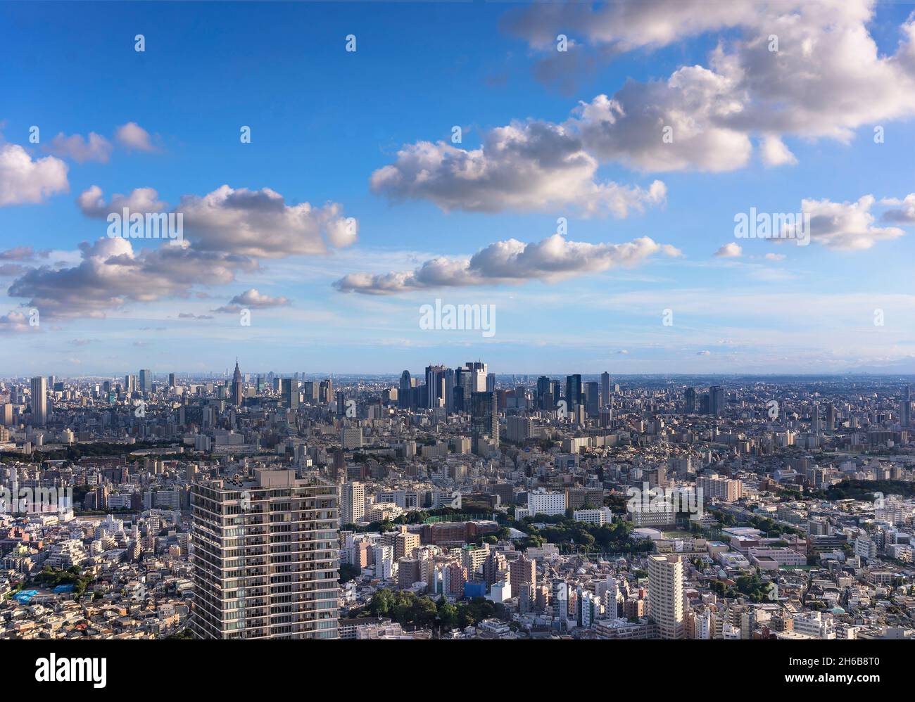 tokyo, japan - august 05 2021: Wide cityscape of the jungle of ...