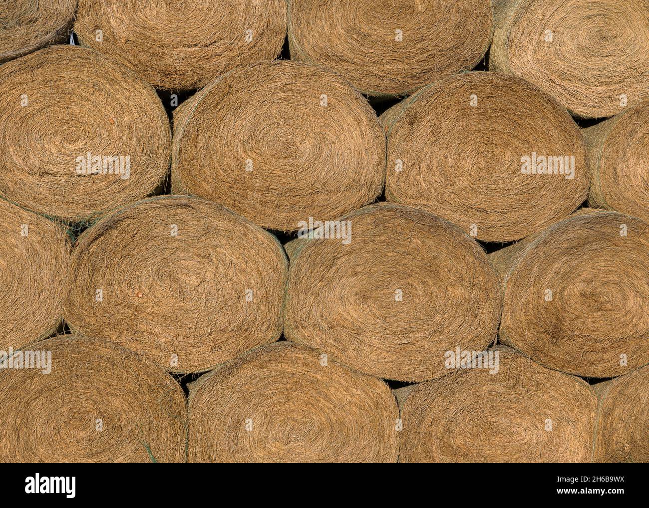 Bales of hay piled high hi-res stock photography and images - Alamy