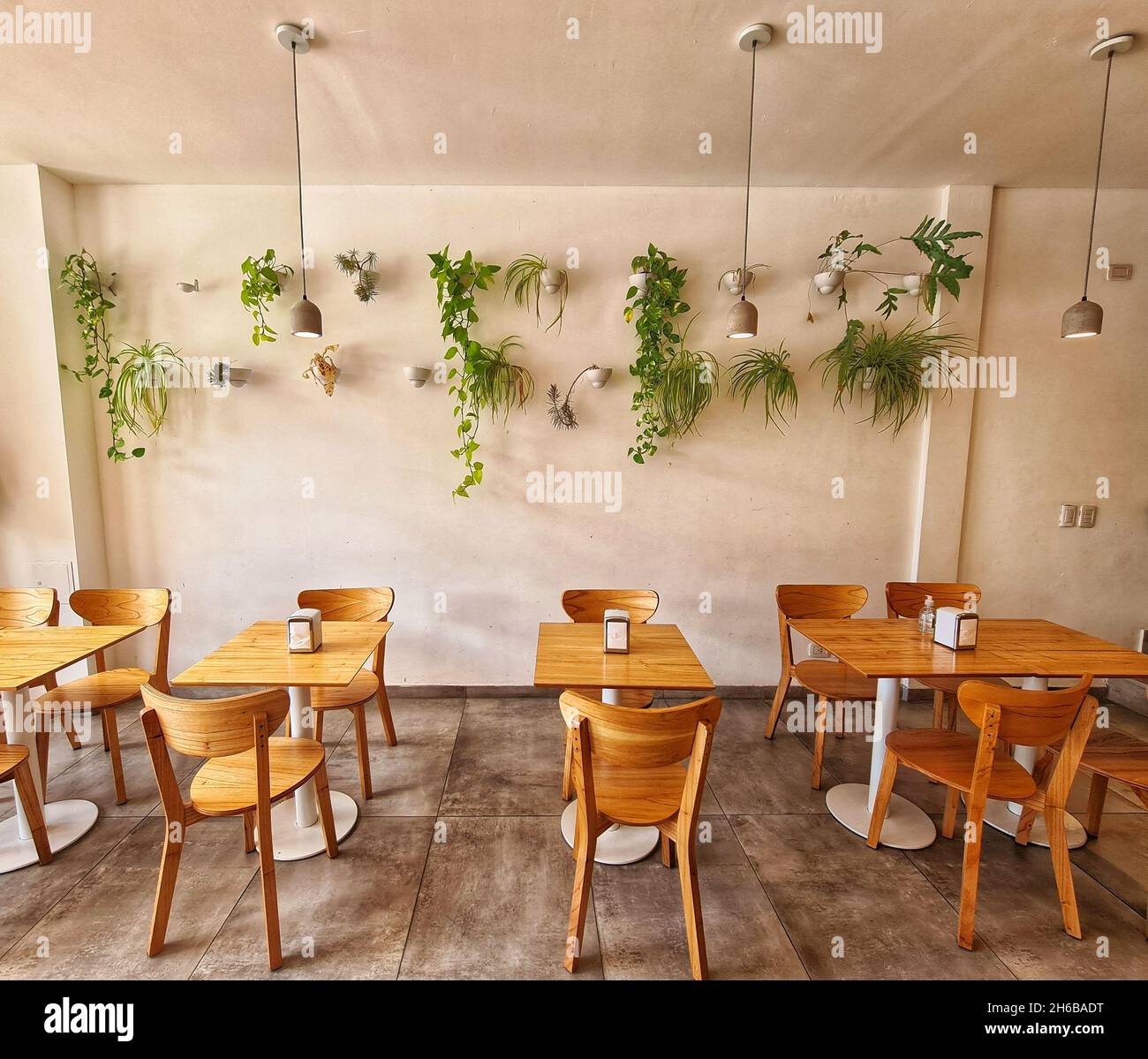 An interior of a small restaurant with wooden chairs and tables Stock ...