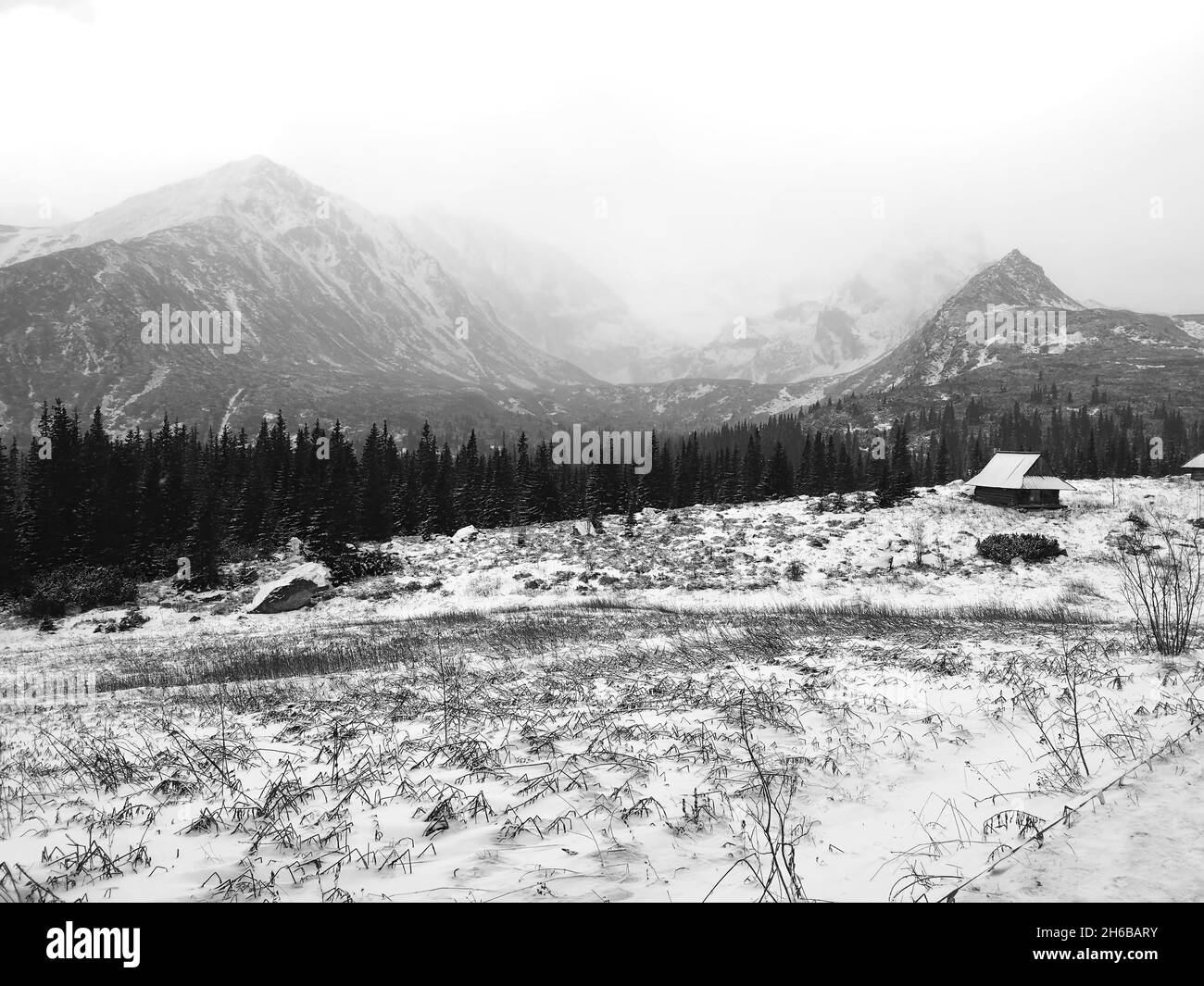 A grayscale view of snowy open terrain in the background of mountains ...