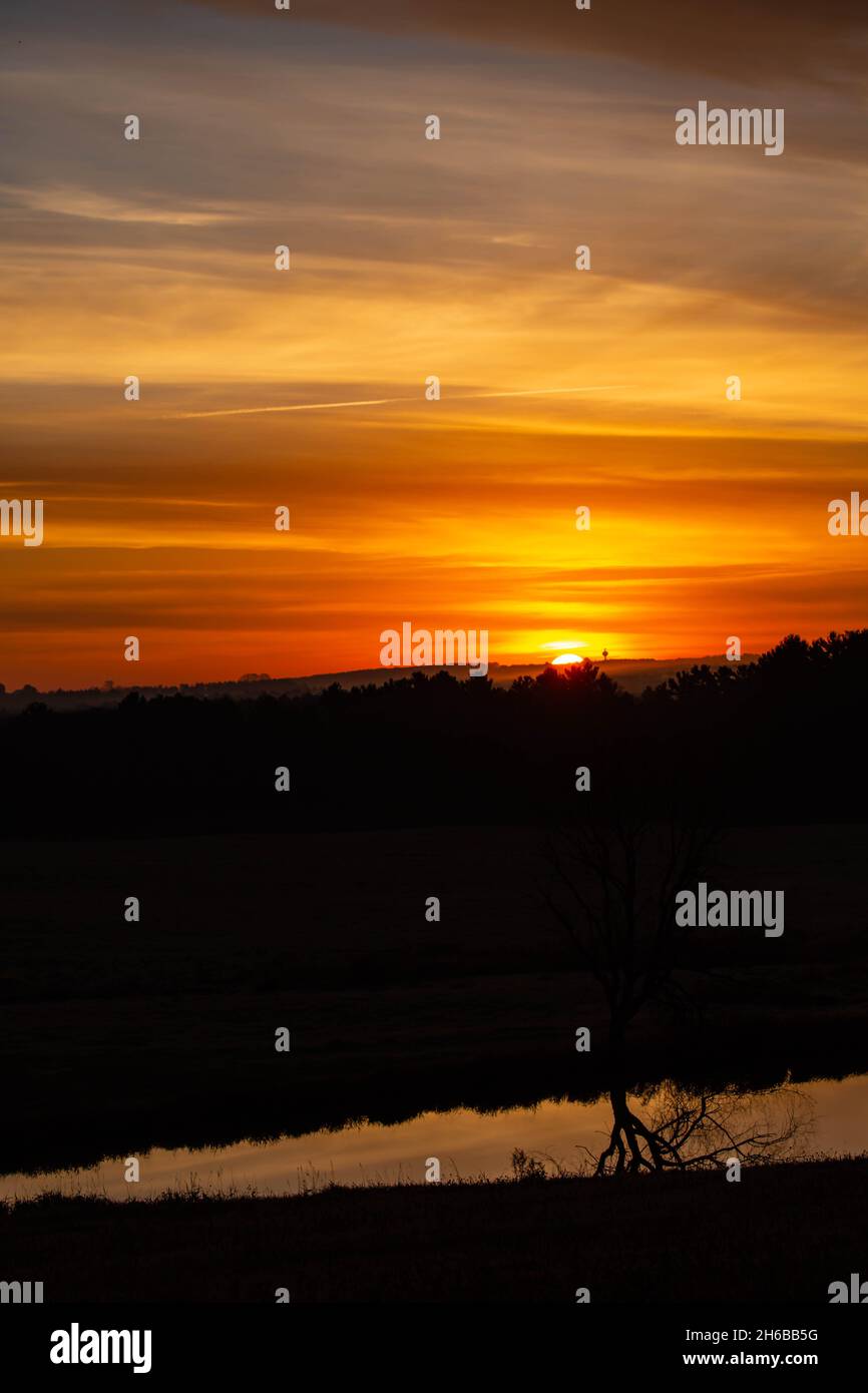 November evening sunlight hi-res stock photography and images - Alamy