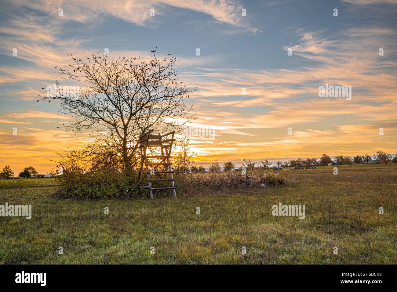 Hunting stand hi-res stock photography and images - Alamy