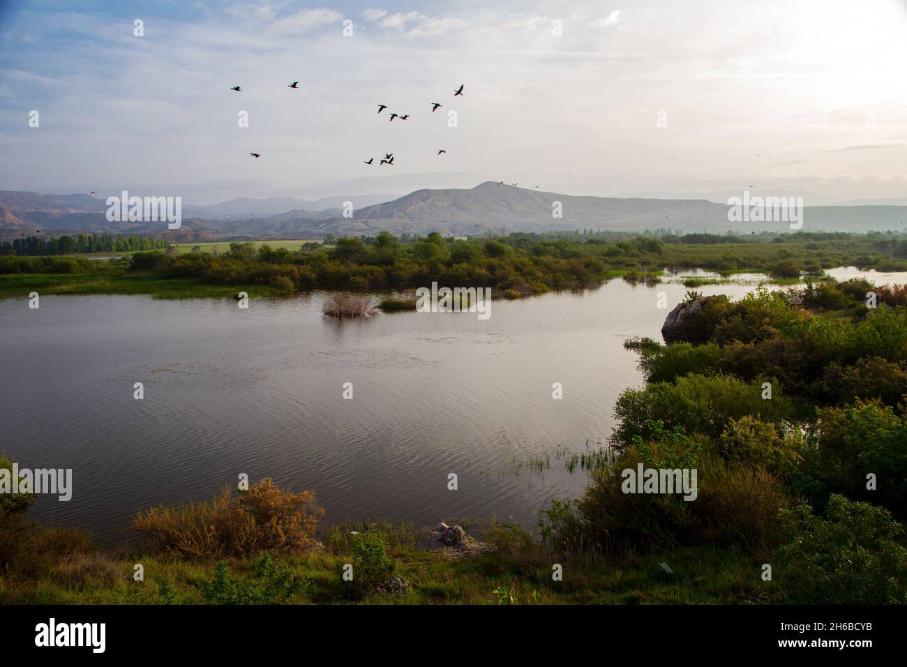Mountains,lake and Nallihan bird paradise view Stock Photo - Alamy