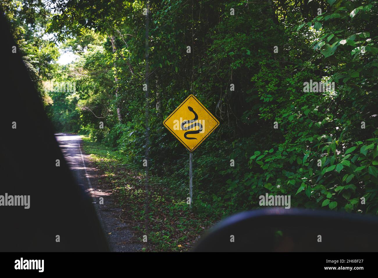 Road sign with warning of snakes along the street to the national park ...