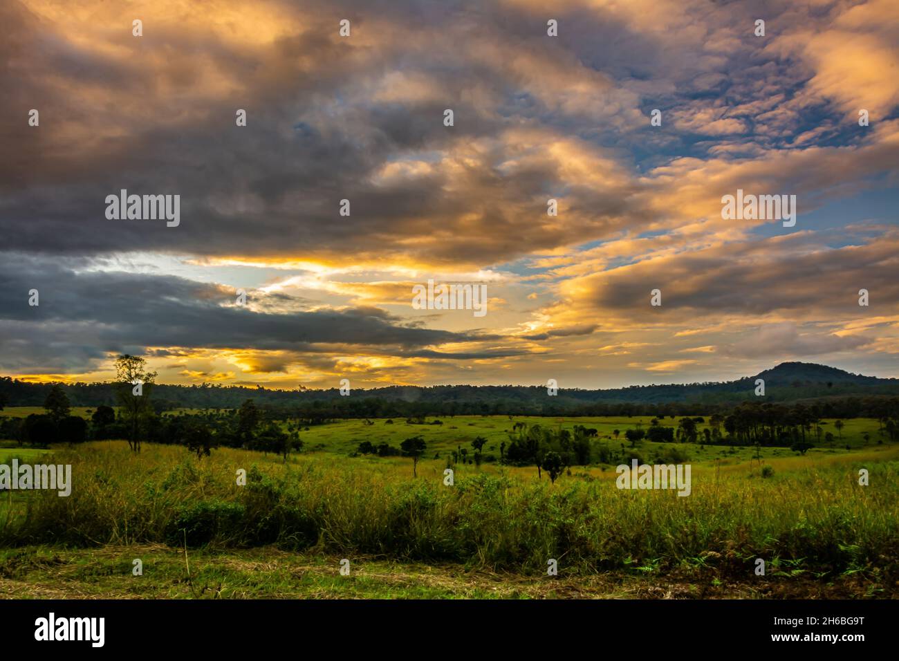 Beautiful forest landscape in Thung Salaeng Luang National Park at ...