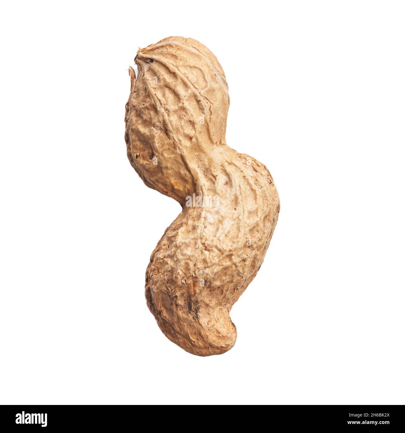 Single peanut with shell isolated on a white background Stock Photo - Alamy