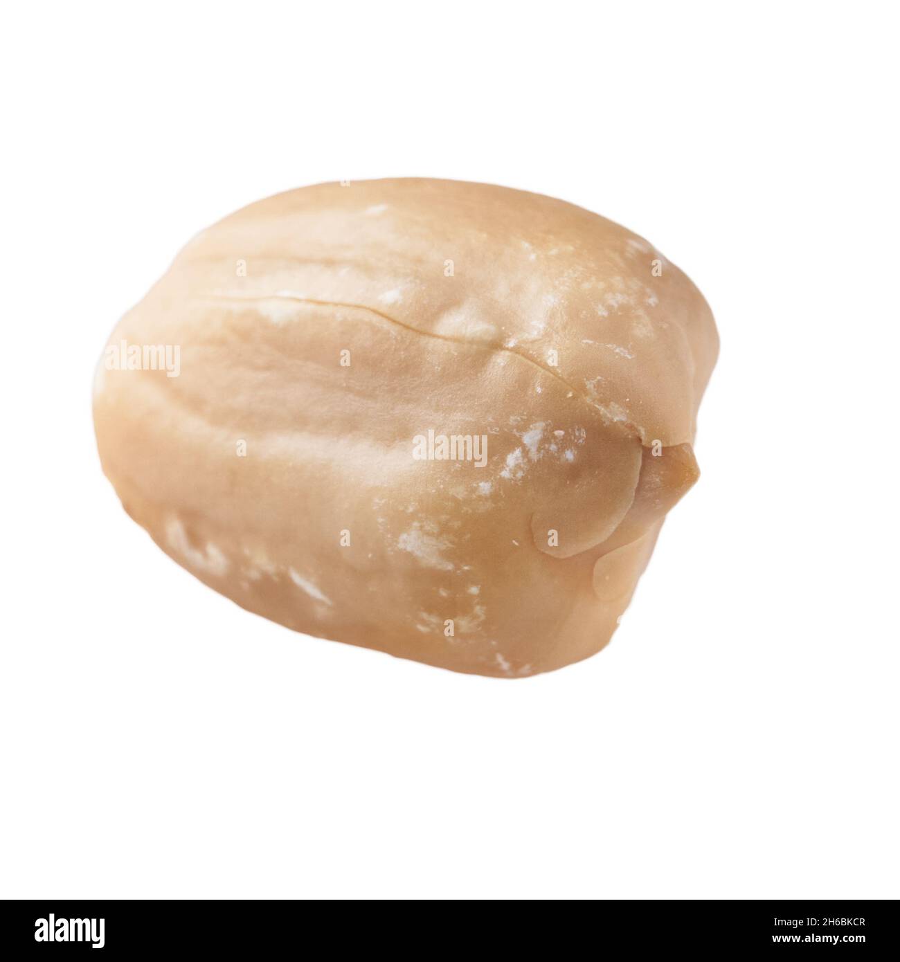 Single peeled peanut isolated on a white background Stock Photo - Alamy