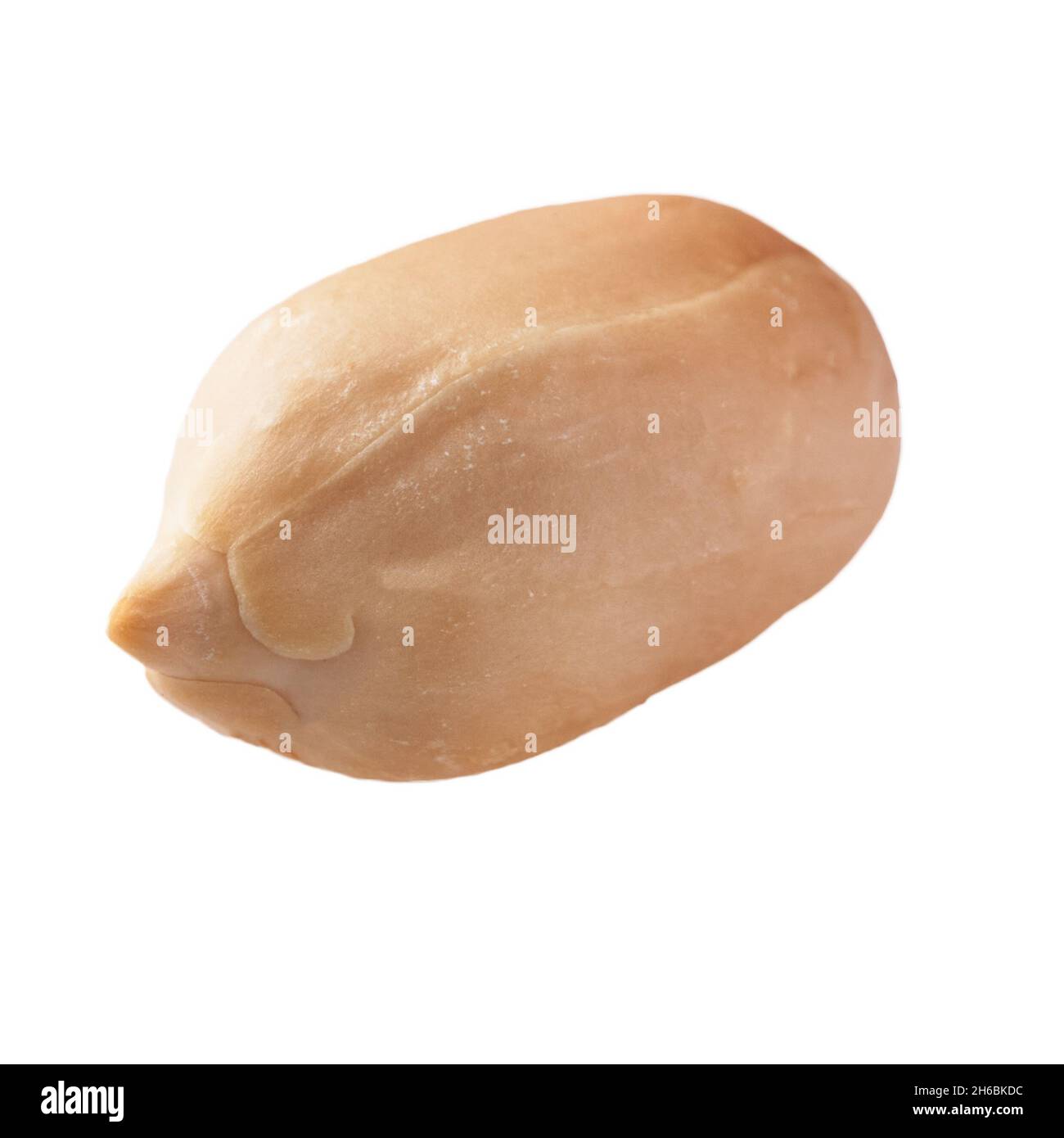 Single peeled peanut isolated on a white background Stock Photo - Alamy