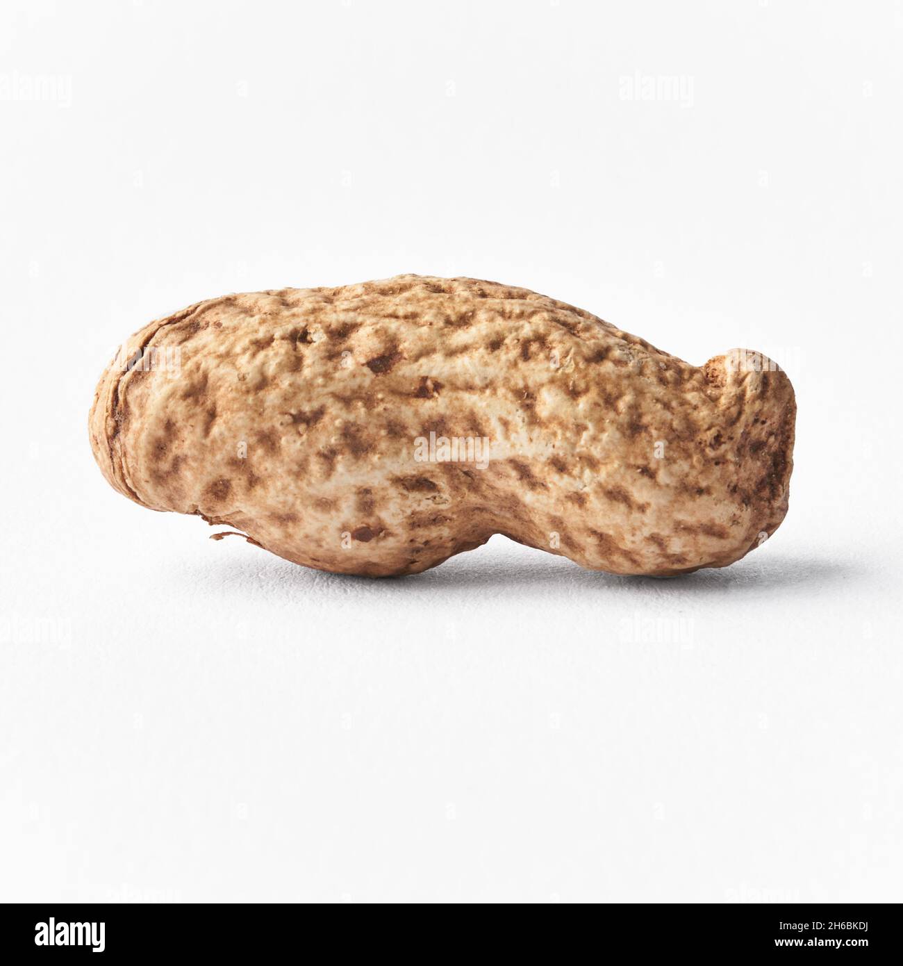 Single peanut with shell isolated on a white background Stock Photo - Alamy