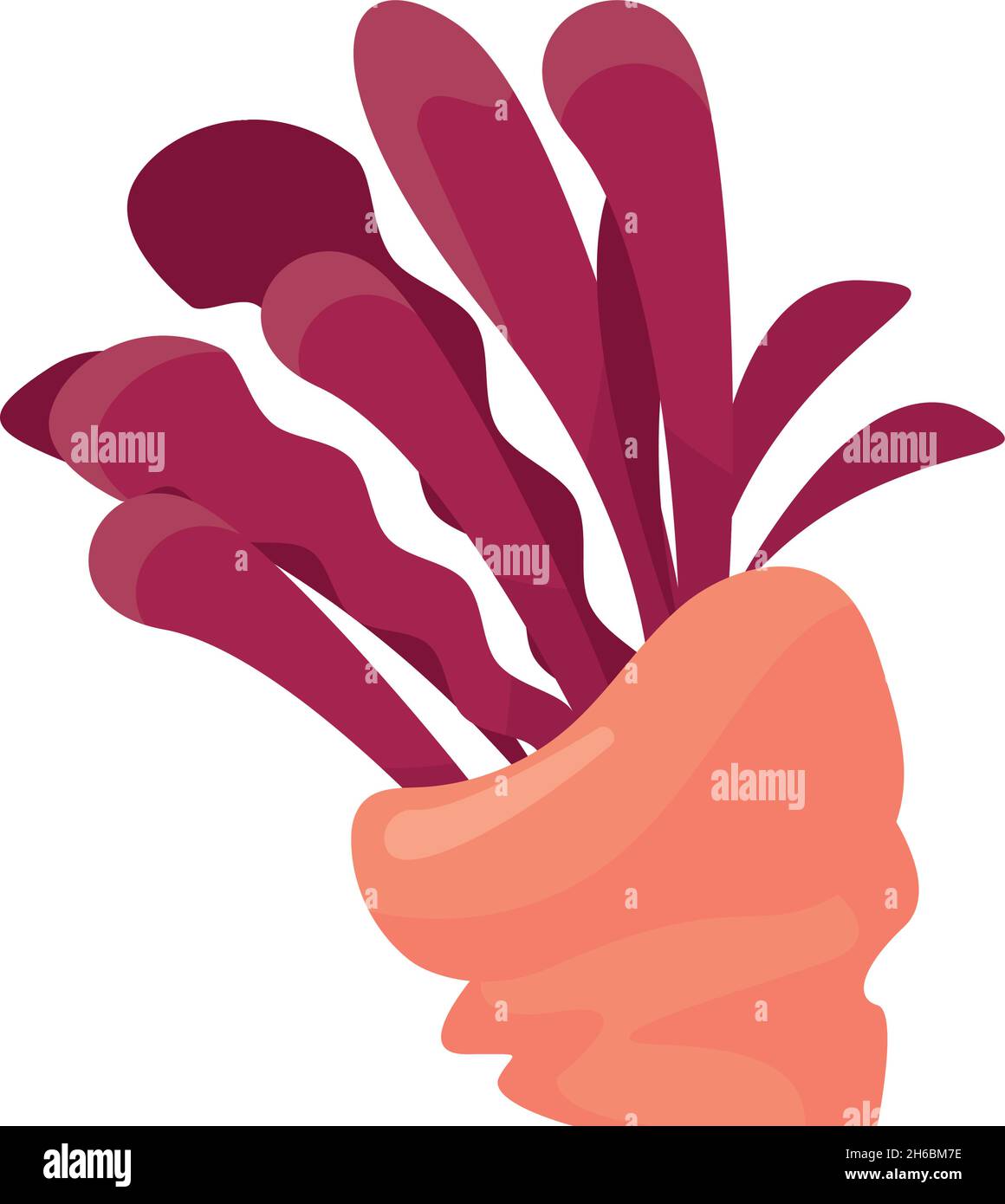 red algae sealife Stock Vector Image & Art - Alamy