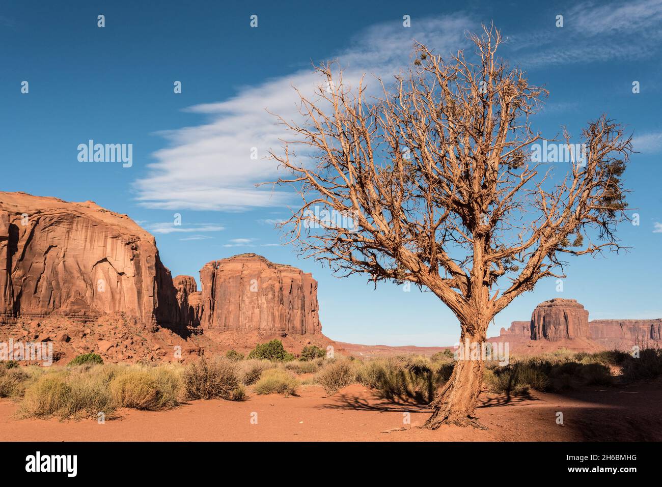 Harsh climate plants hi-res stock photography and images - Alamy