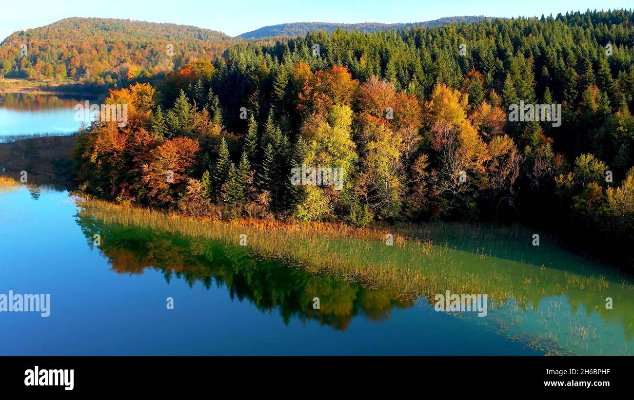 Lakeshore forest hi-res stock photography and images - Alamy