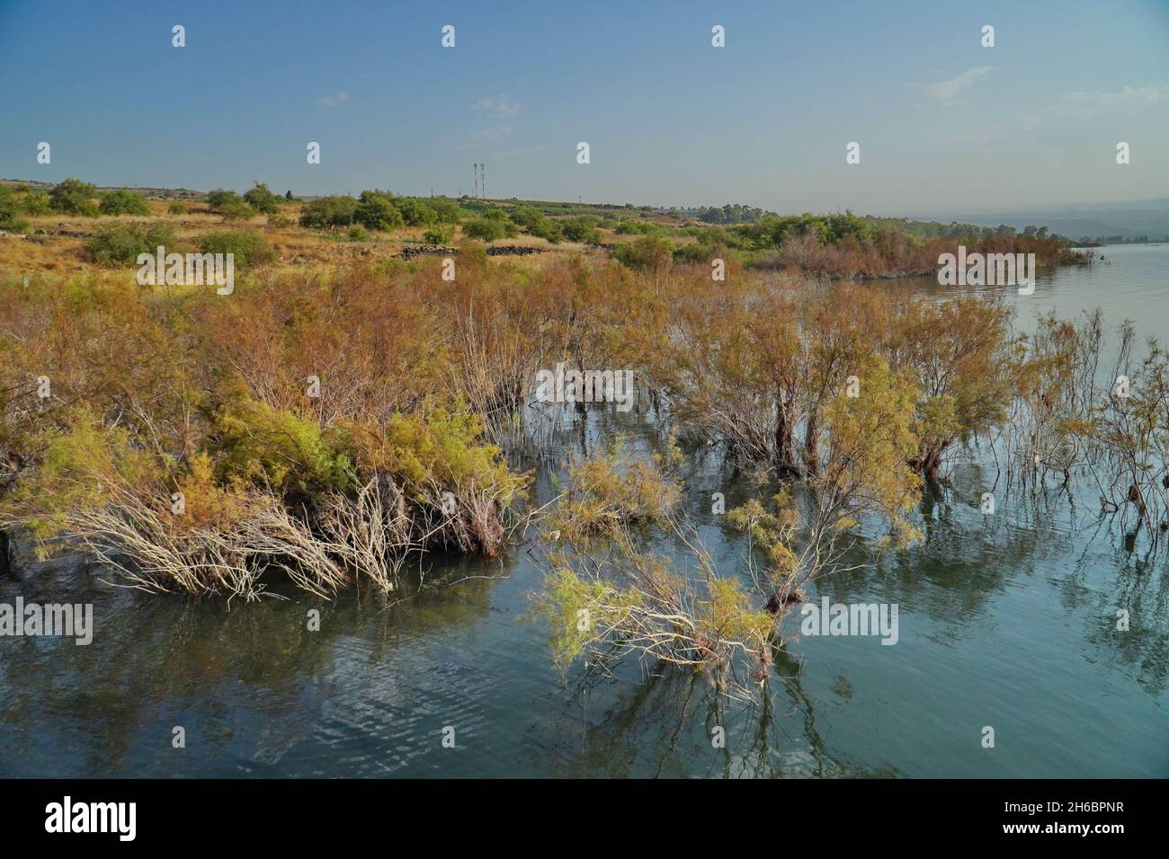 A beautiful landscape in the Sea of Galilee, Israel Stock Photo - Alamy