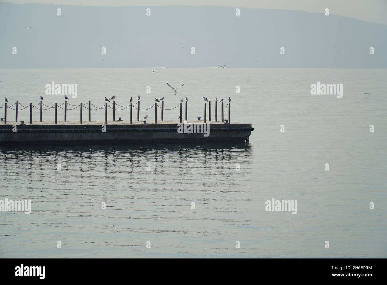 The pier of the Sea of Galilee in Israel Stock Photo - Alamy