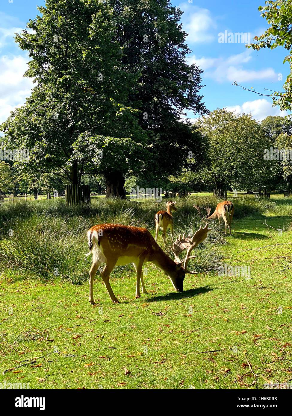 Dunham Massey National Trust Hi res Stock Photography And Images Alamy dunham-massey-national-trust-hi-res-stock-photography-and-images-alamy