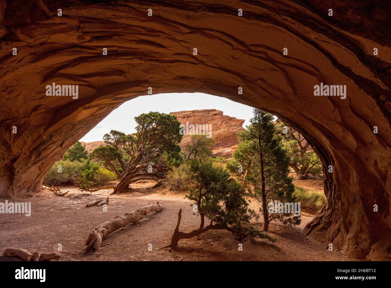 Giant Navajo Arch in the Arches National Park, USA Stock Photo - Alamy