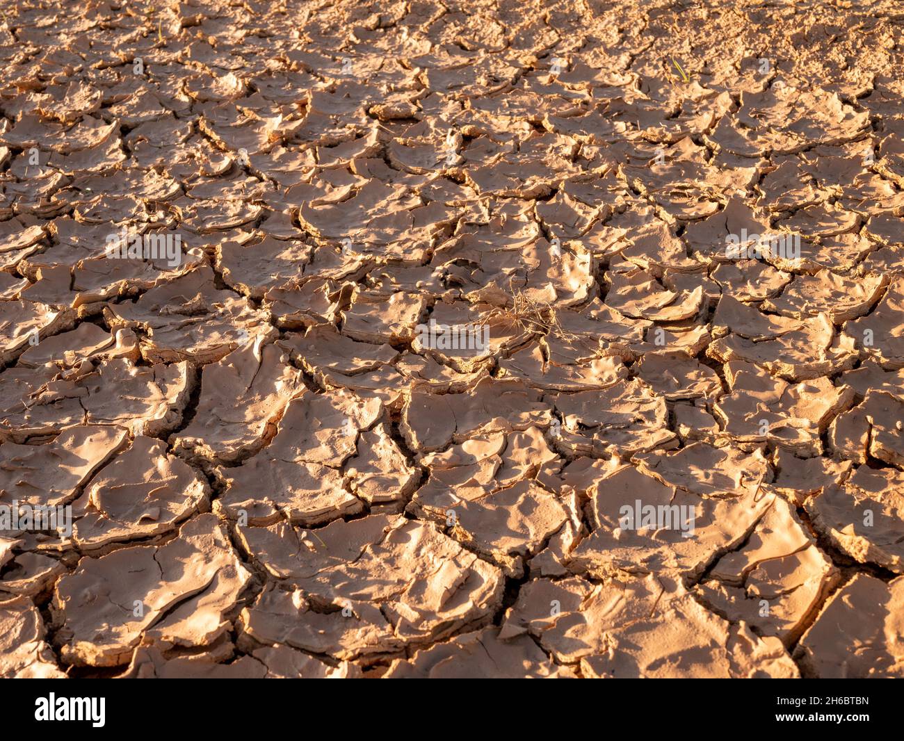 A close-up shot of dry and cracked ground texture Stock Photo - Alamy
