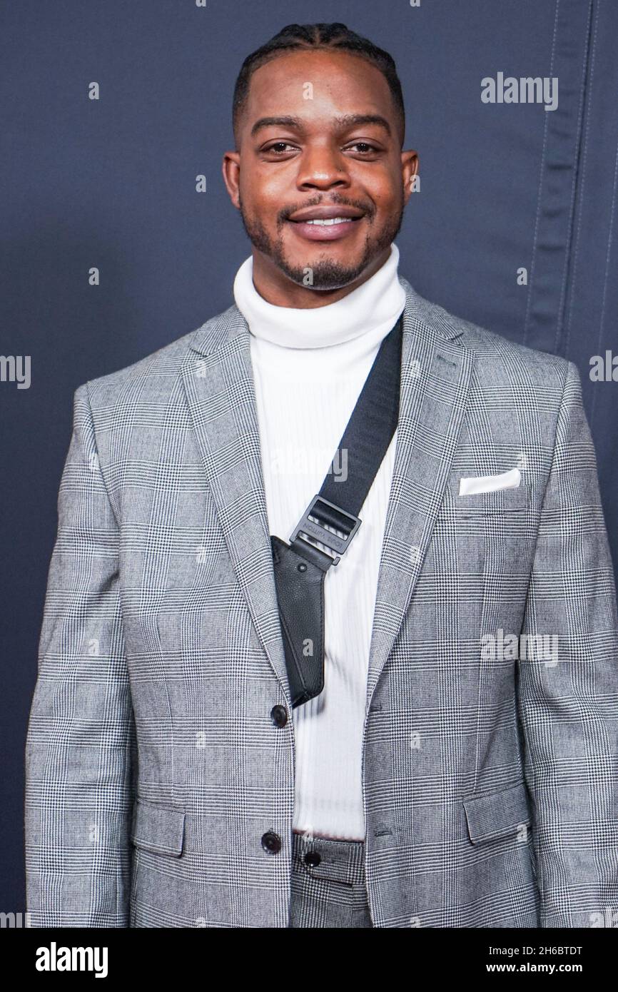 Hollywood, United States. 14th Nov, 2021. HOLLYWOOD, LOS ANGELES ...