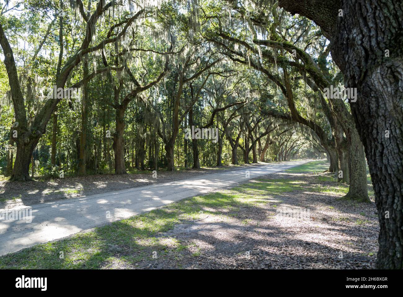 Empty pathway hi-res stock photography and images - Alamy