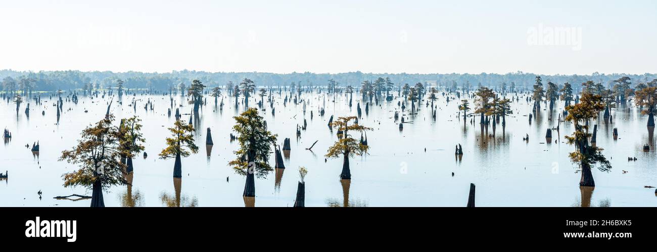Blue bayou water park hi-res stock photography and images - Alamy