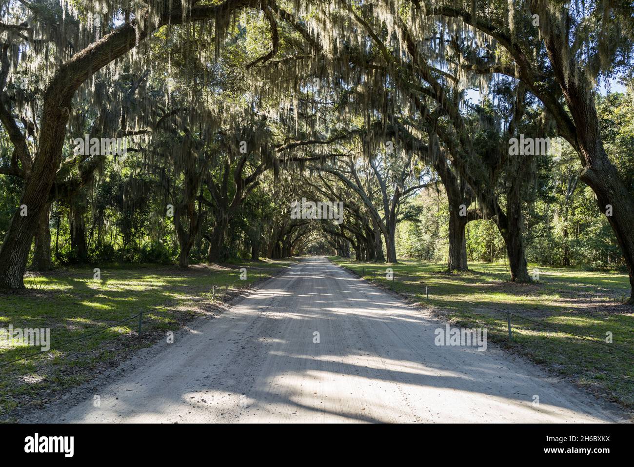 Treelined with pathway hi-res stock photography and images - Alamy