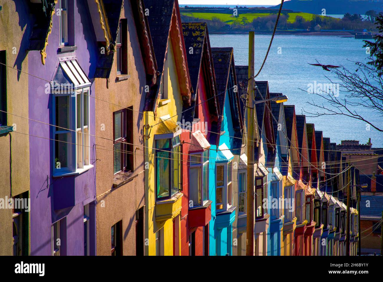 Coloured houses in cork hi-res stock photography and images - Alamy