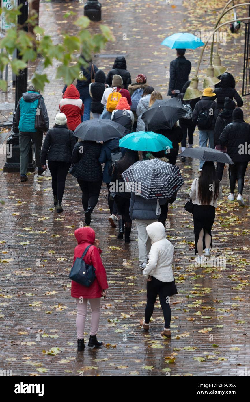 A tour group endures heavy rain and gusty winds in Seattle’s Pioneer ...