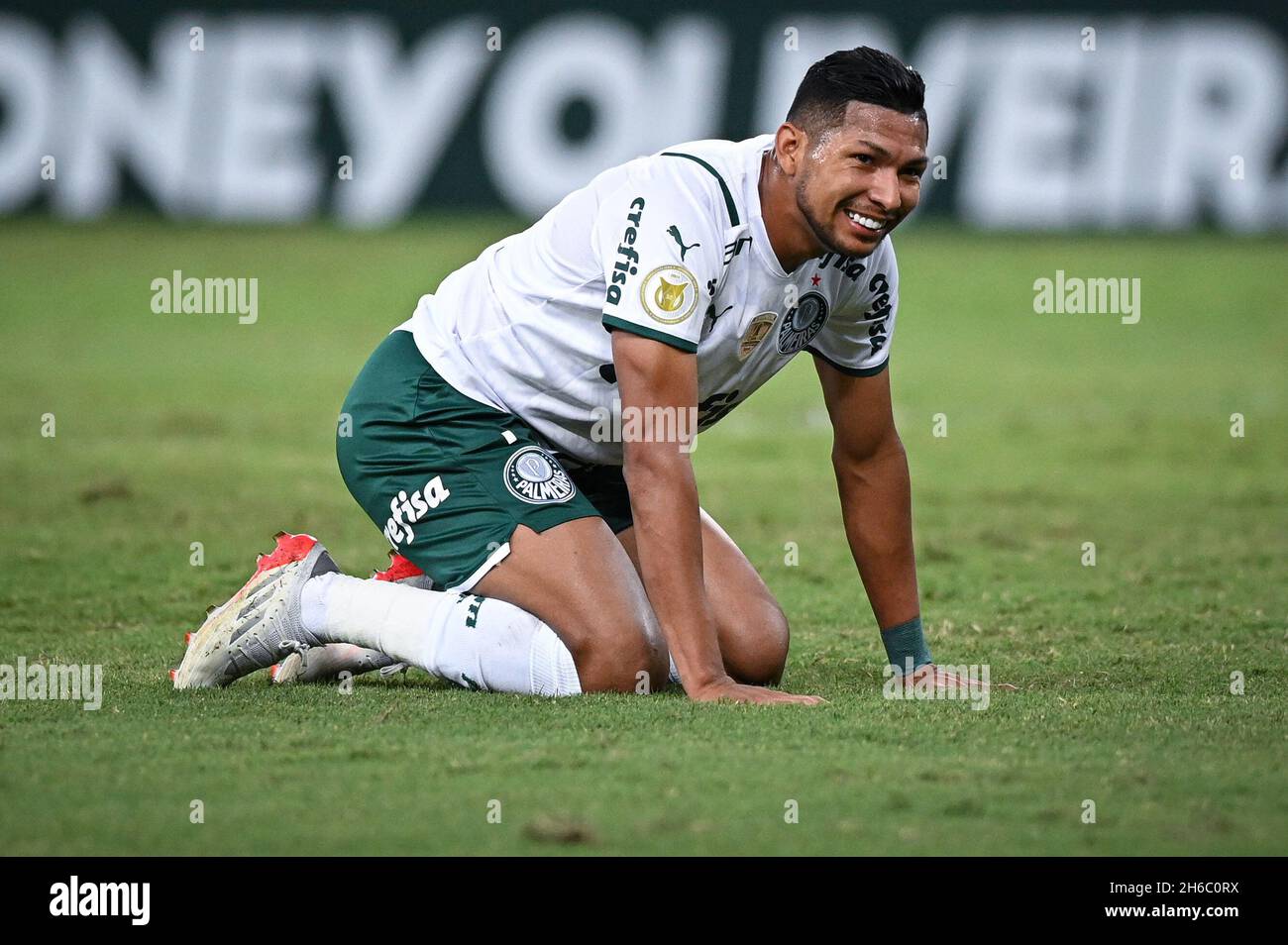 Rio De Janeiro, Brazil. 14th Nov, 2021. Rony of Palmeiras regrets a ...