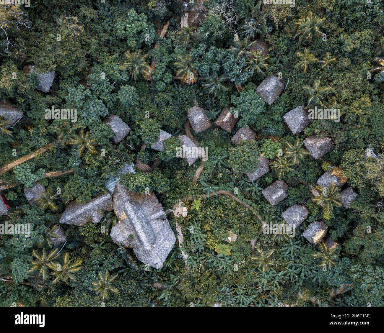 Aerial view of an amazing tree houses in the beautiful greenforest ...