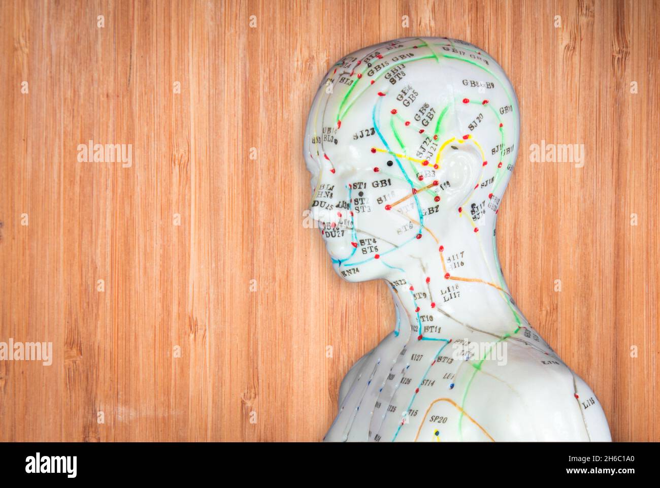 Acupuncture meridians hi-res stock photography and images - Alamy