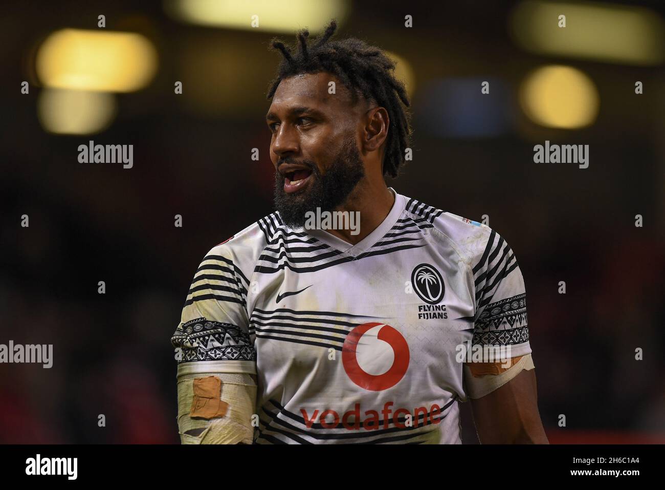 Waisea hi-res stock photography and images - Alamy