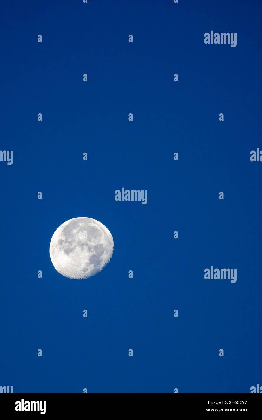 Moon in the waning gibbous phase with blu sky in October, vertical ...