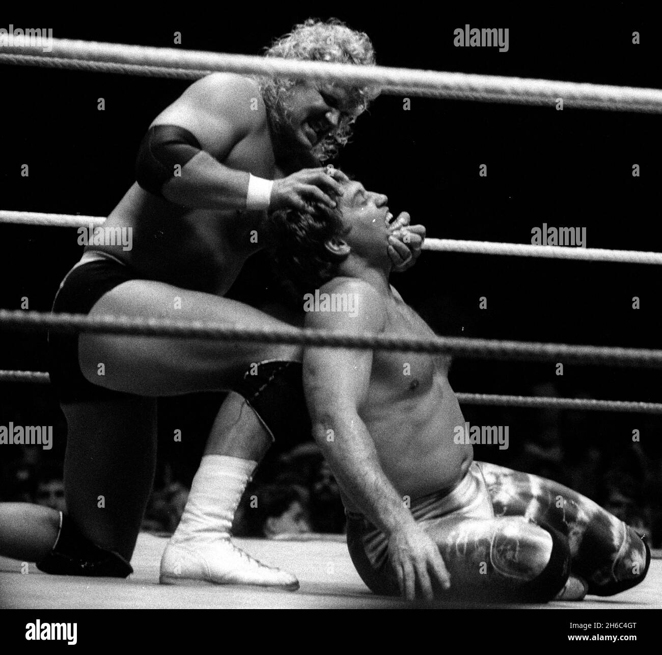 Curt Hennig James Brunzell of the Killer Bees1987 Photo by John Barrett ...