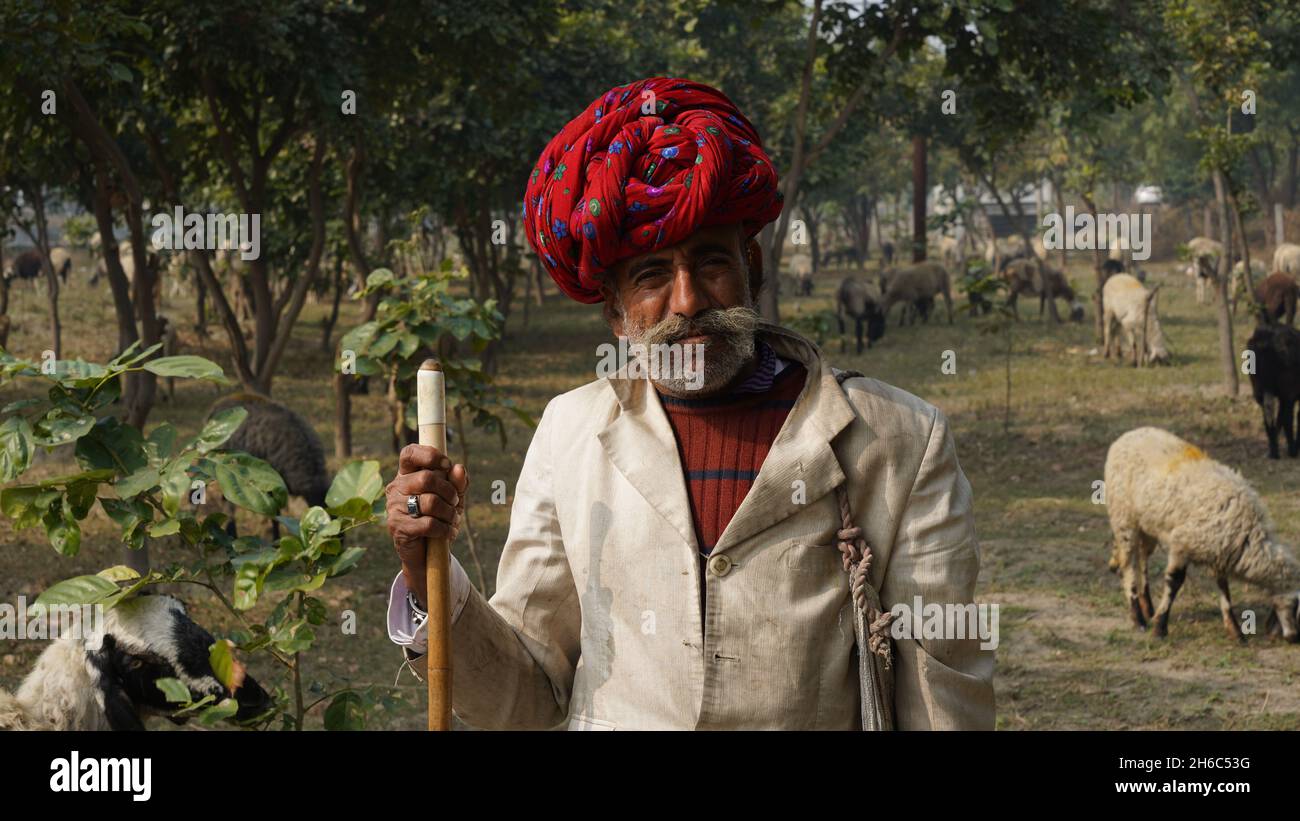 High-Resolution Image: Shepherd Herding Sheep #rajasthansheep, # ...