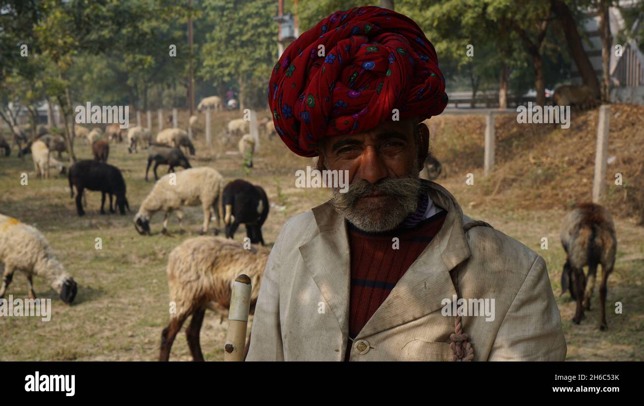 High-Resolution Image: Shepherd Herding Sheep #rajasthansheep, # ...