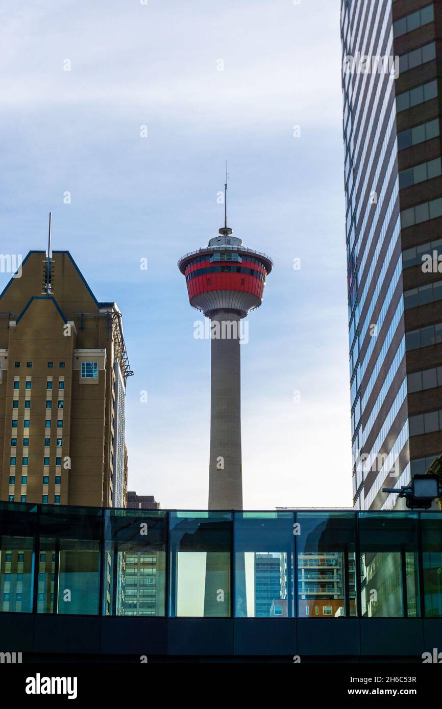 Busy downtown Calgary business district with the iconic Calgary Tower ...