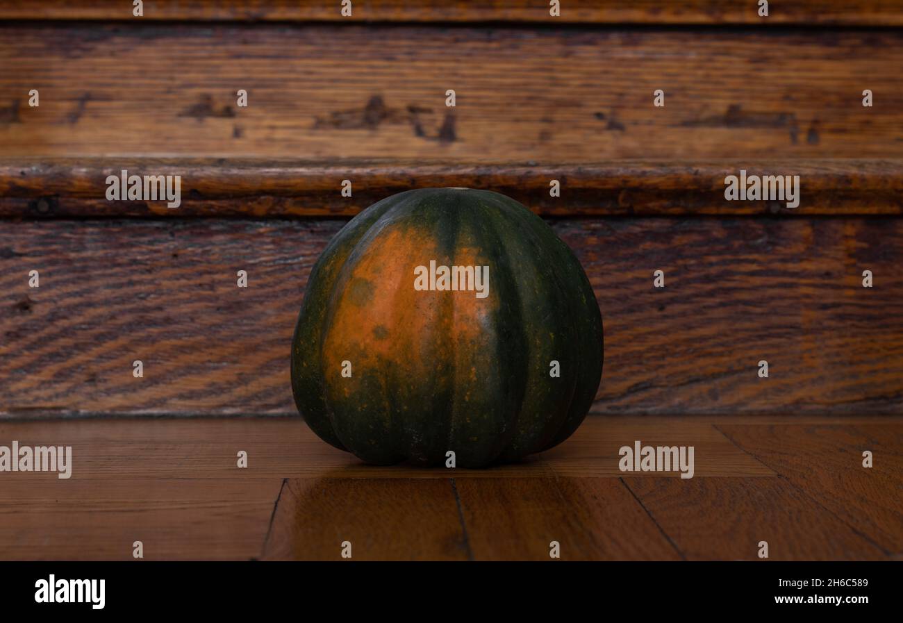 a single, whole, unpeeled, uncooked acorn squash, a round, green and ...