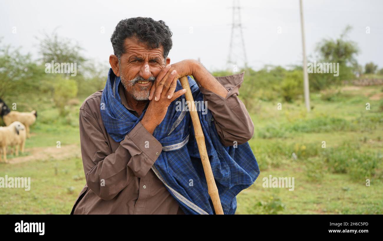 High-Resolution Image: Shepherd Herding Sheep #rajasthansheep, # ...