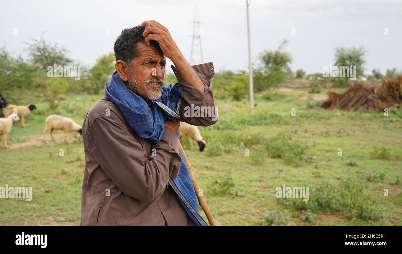 Photo of a shepherd carrying a lamb in his arms hi-res stock ...