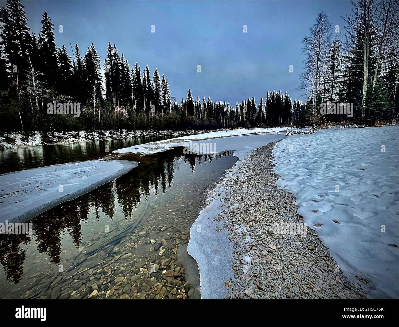 Beautiful view of a river creek with the reflection of trees covered in ...
