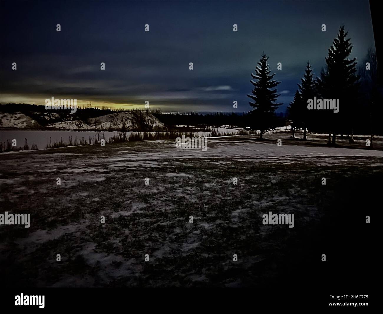 Beautiful winter landscape with fir trees at night in Alaska, United ...