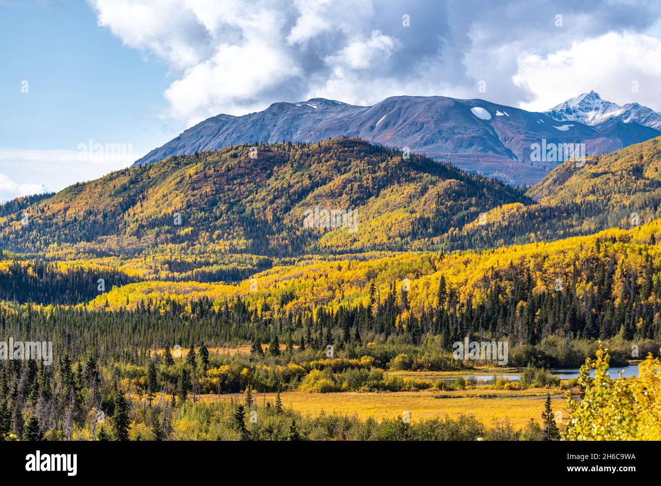 The remarkable, stunning, autumn, fall landscape of Yukon Territory in ...