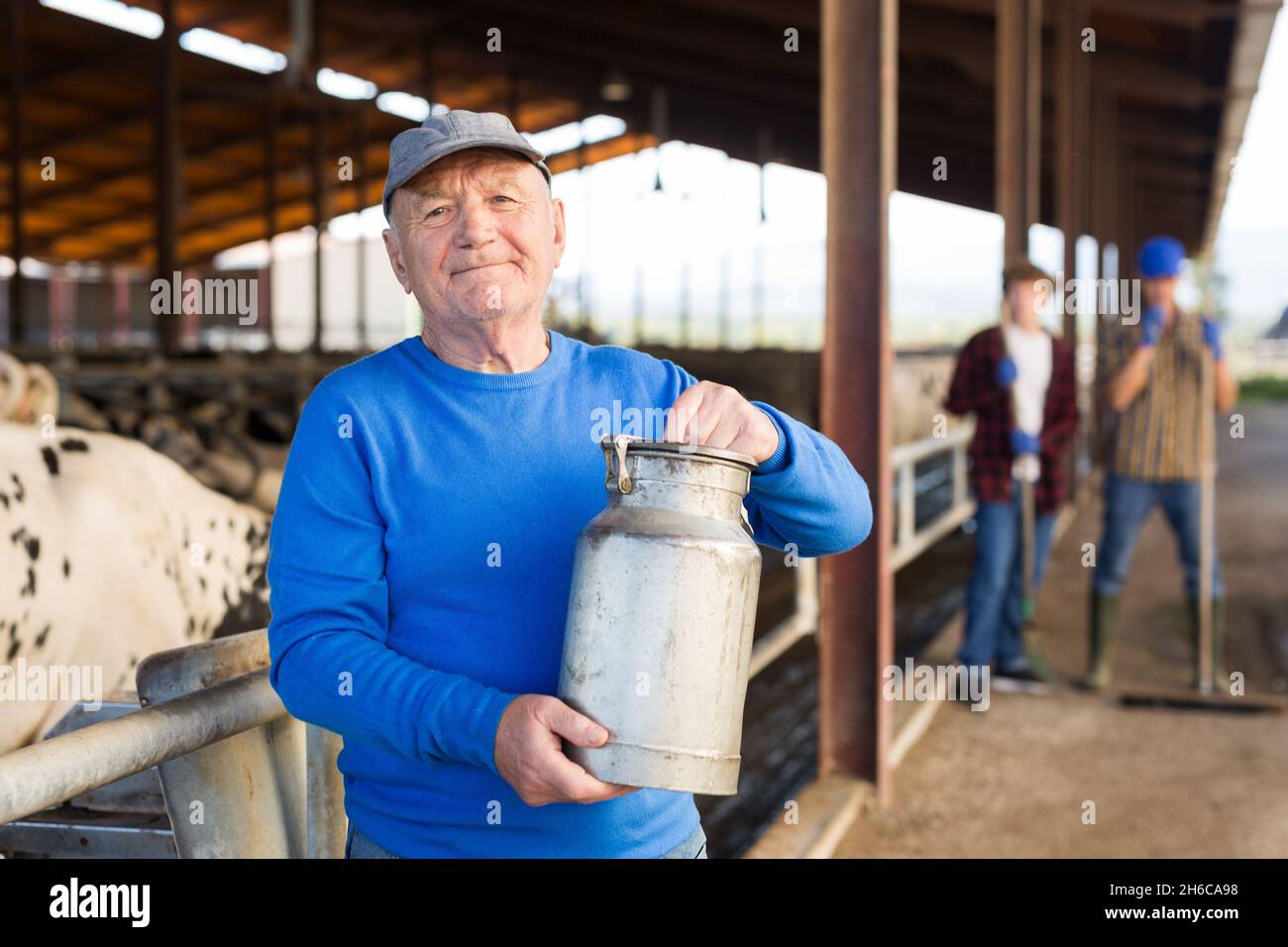 Elderly male owner with milk can standing in stall on background with ...