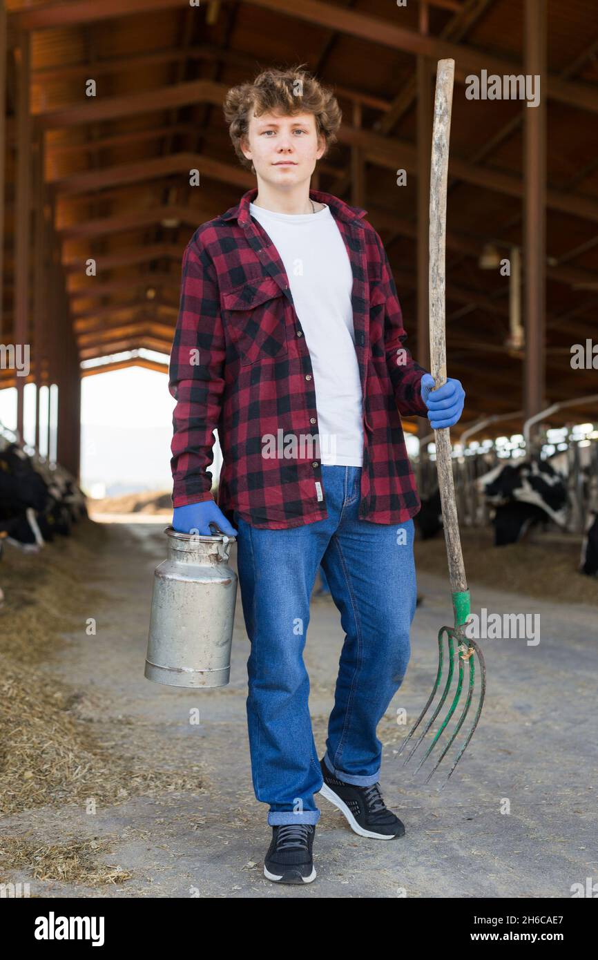 Teenage farm worker walking in cowshed with pitchforks and milk can ...