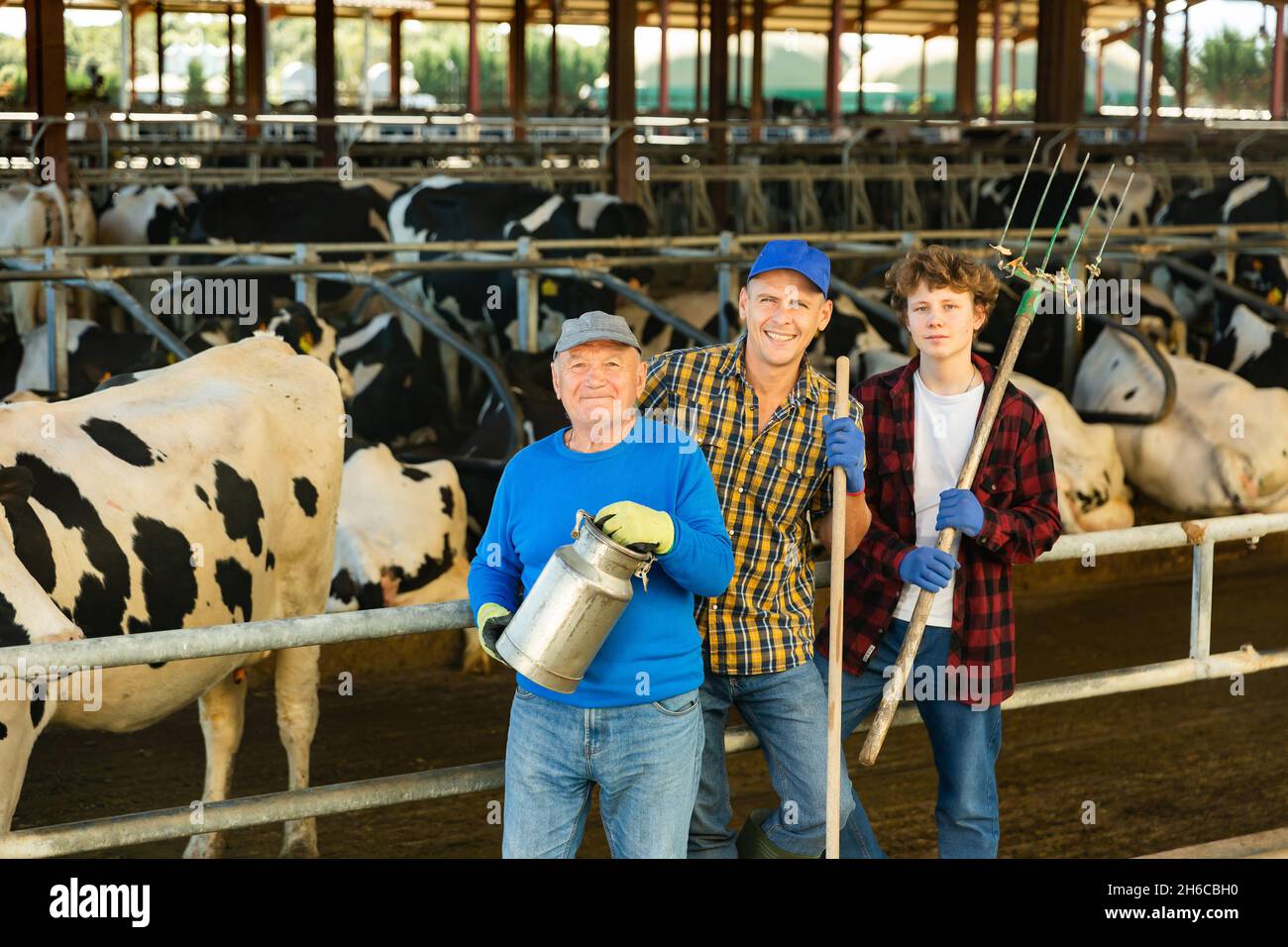 Three milk farm workers in cowhouse Stock Photo - Alamy