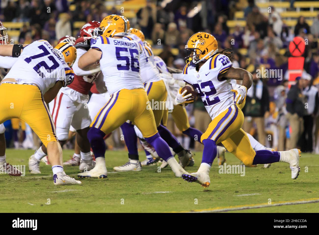 Lsu tigers hi-res stock photography and images - Alamy