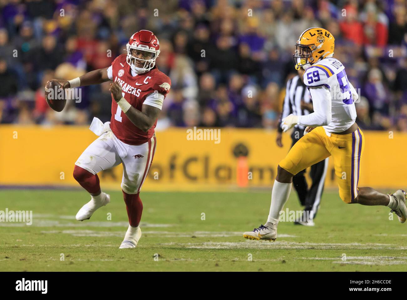 Arkansas Razorbacks Quarterbacks at Eden Goldfinch blog