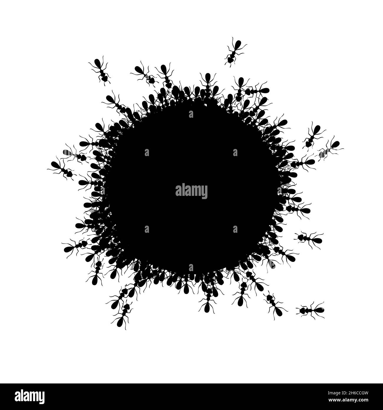 Black ants circle border. Ants forming round shape isolated in white background. Vector ...